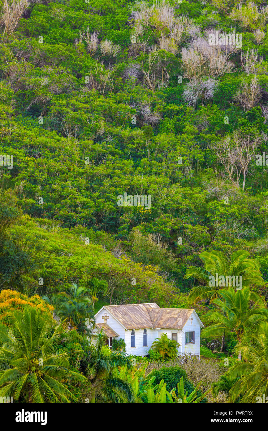 Chapel in the rainforest hi-res stock photography and images - Alamy