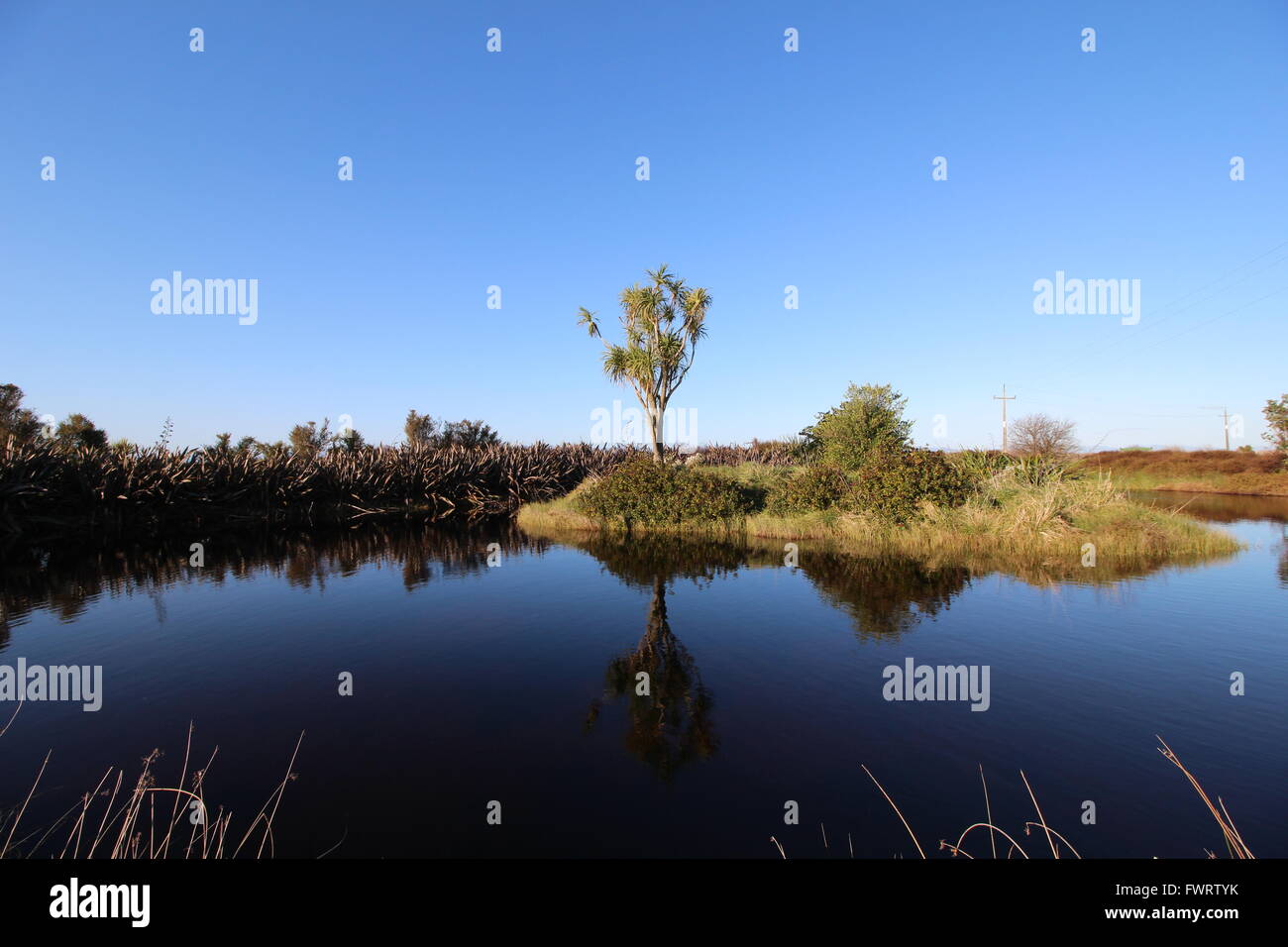 Lake and Island at the Miranda Shorebird Centre, New Zealand Stock ...