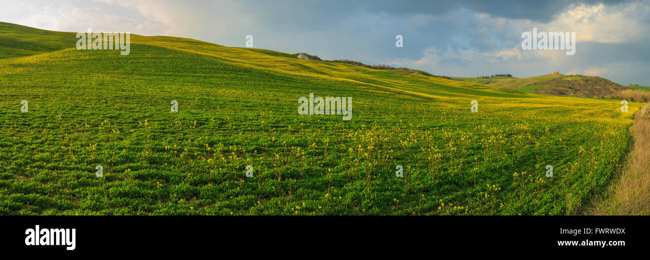 agriculture, beautiful, country, countryside, cypress, europe, farm ...
