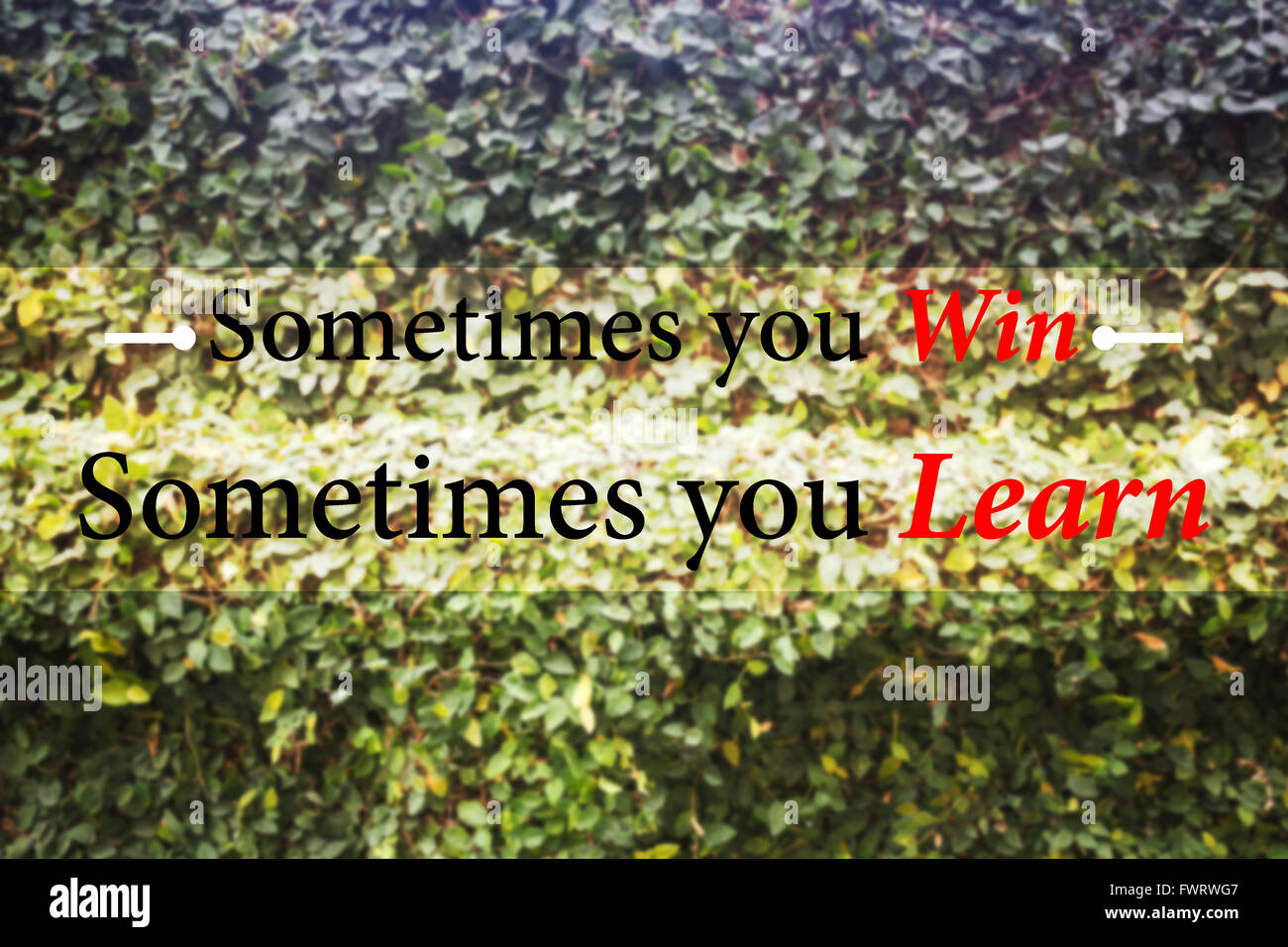 Win and learn inspiration message on blur green plant wall Stock Photo ...
