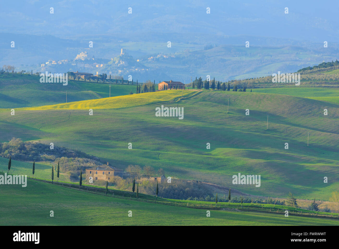 agriculture, beautiful, country, countryside, cypress, europe, farm ...