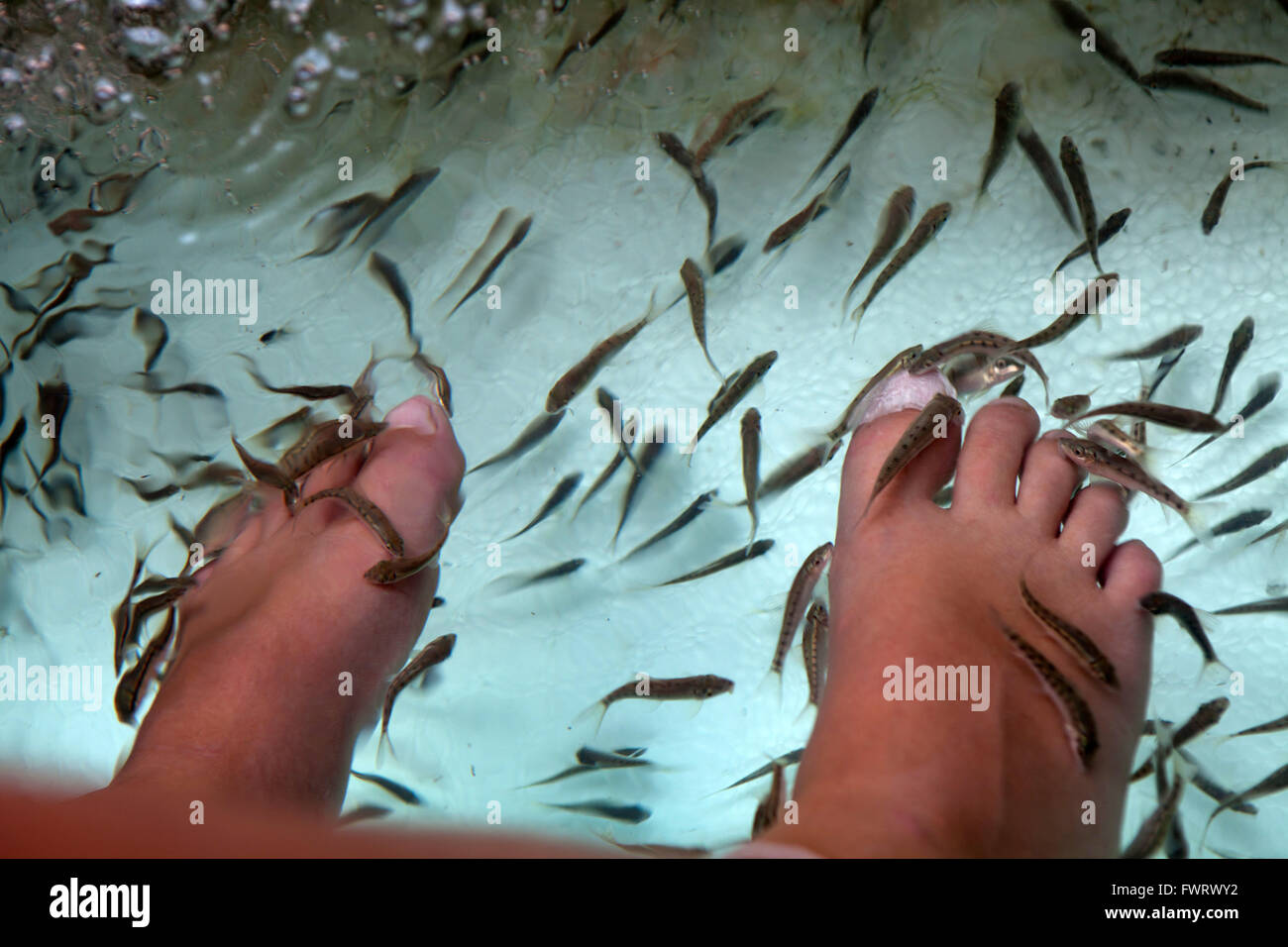 Tickle foot hi-res stock photography and images - Alamy