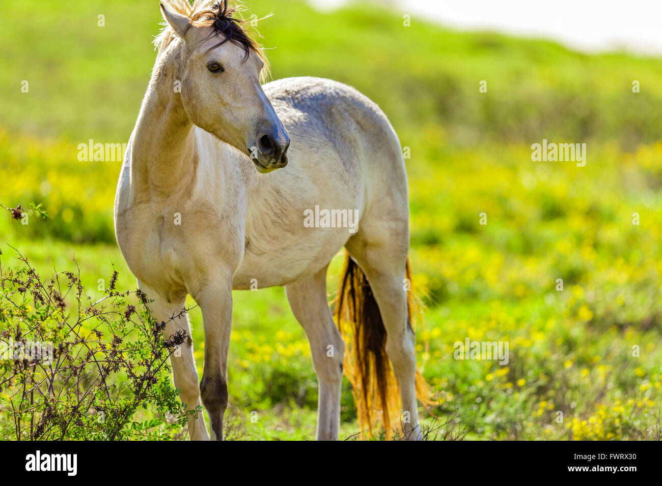 Up country area on hi-res stock photography and images - Alamy