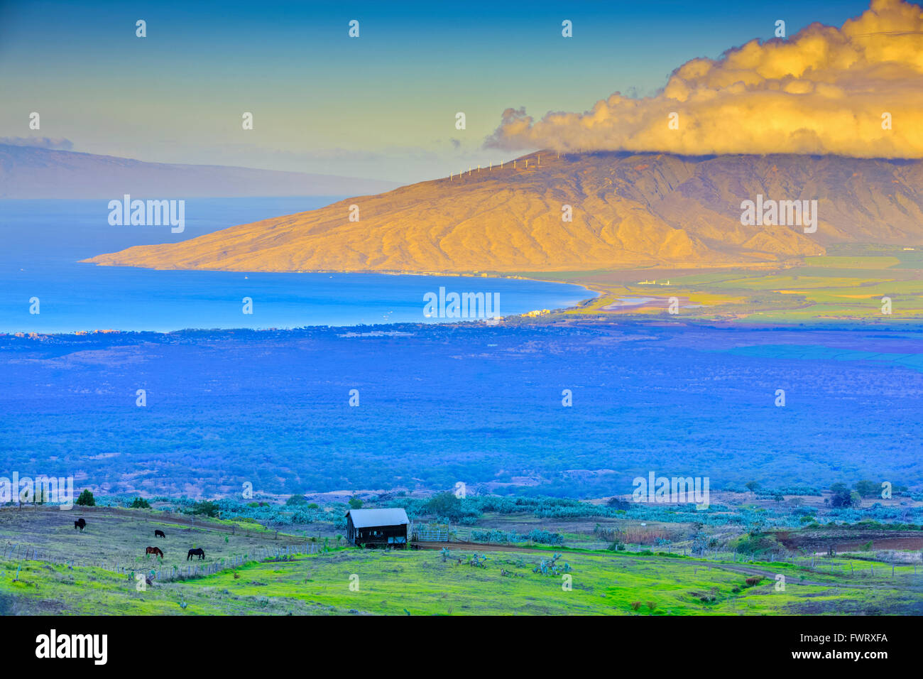 Up Country pasture land and salt barn on Maui Stock Photo - Alamy
