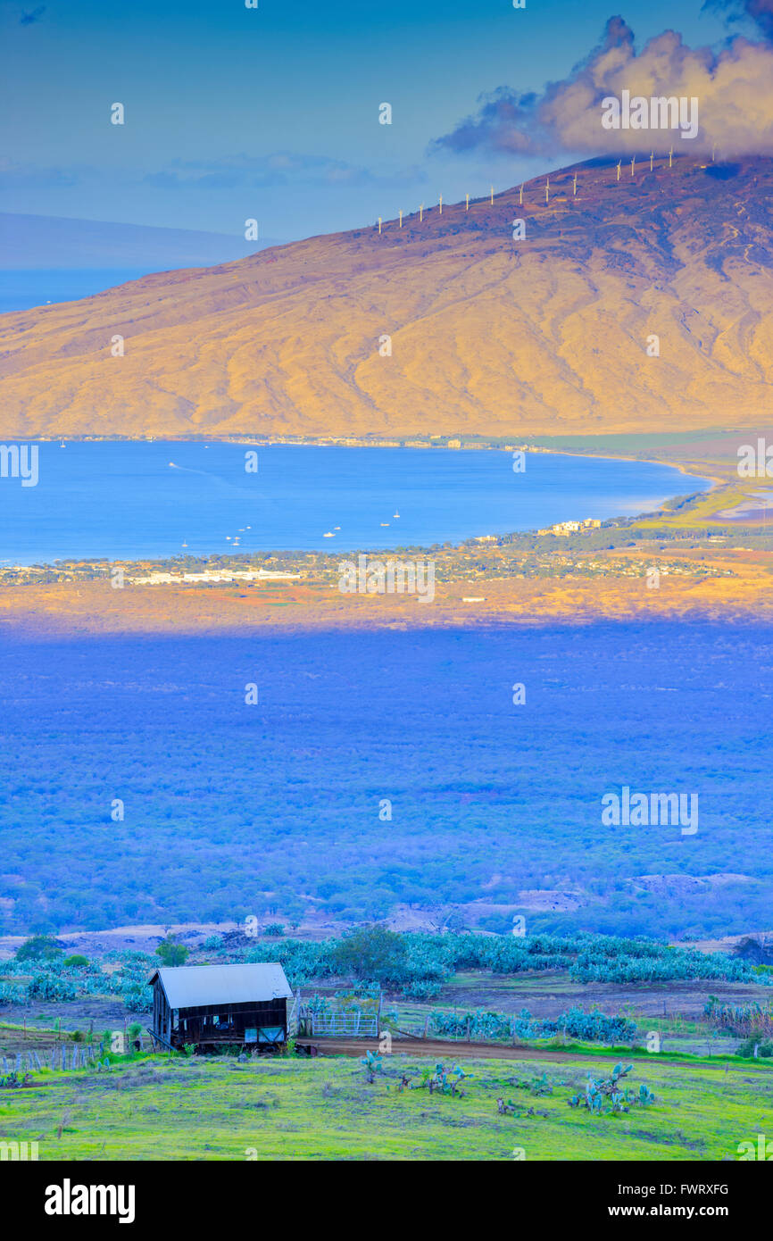Up Country pasture land in Maui Stock Photo - Alamy