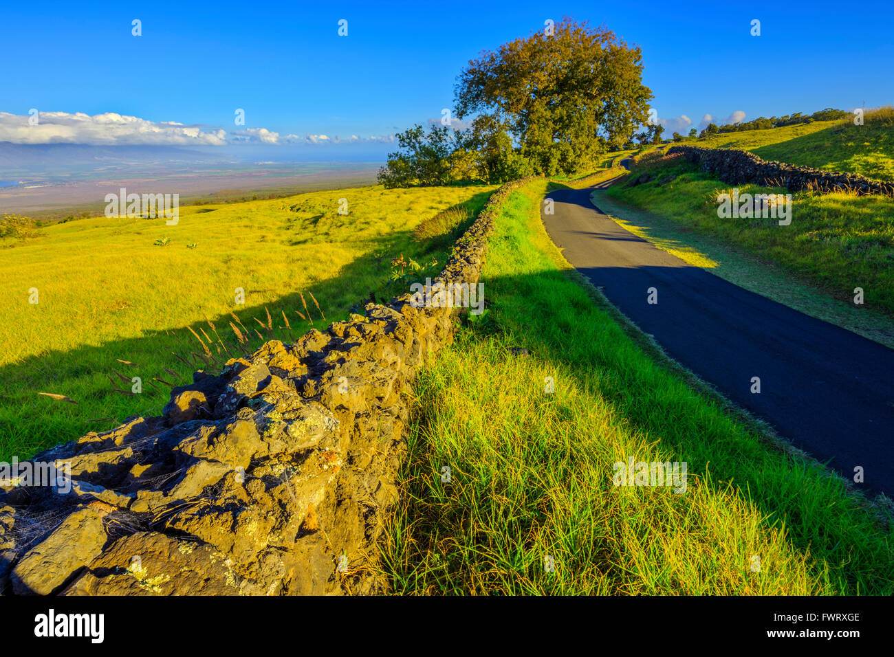 Hawaiian fence background hi-res stock photography and images - Alamy