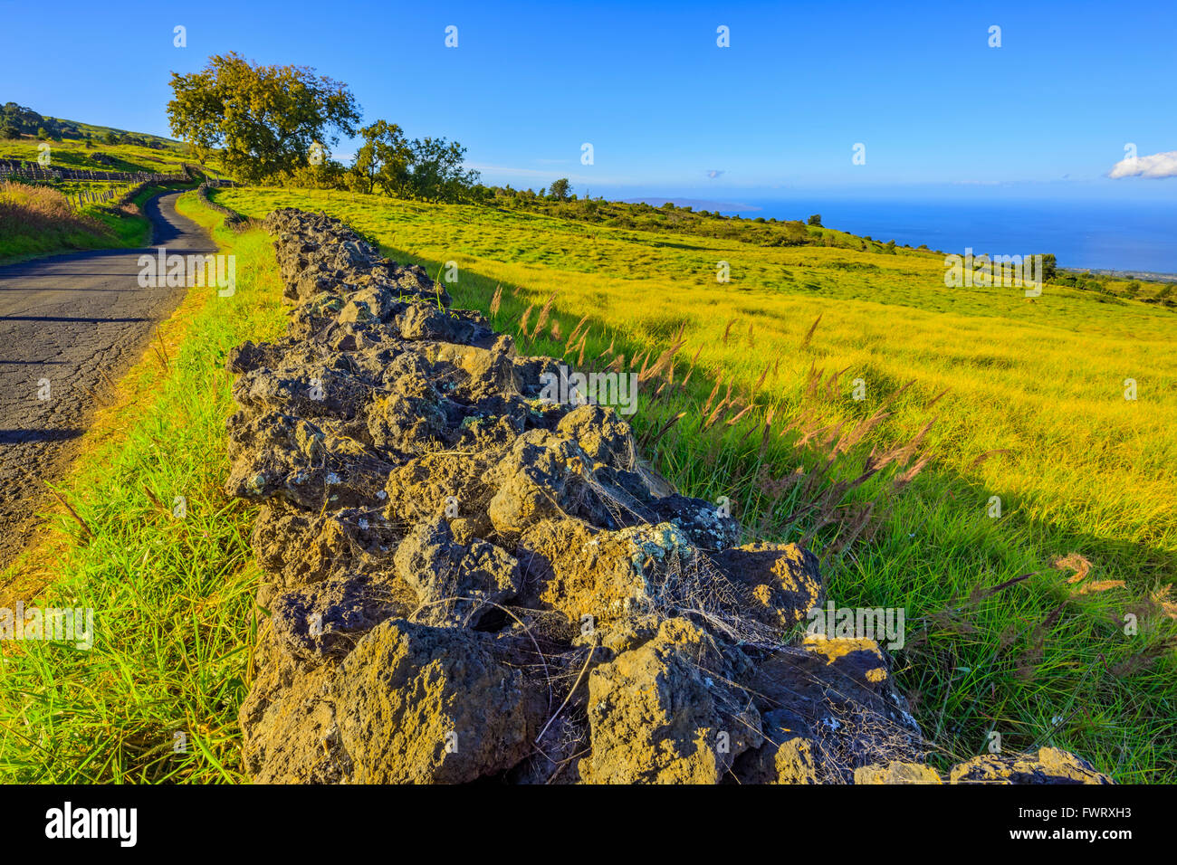 Hawaiian fence background hi-res stock photography and images - Alamy