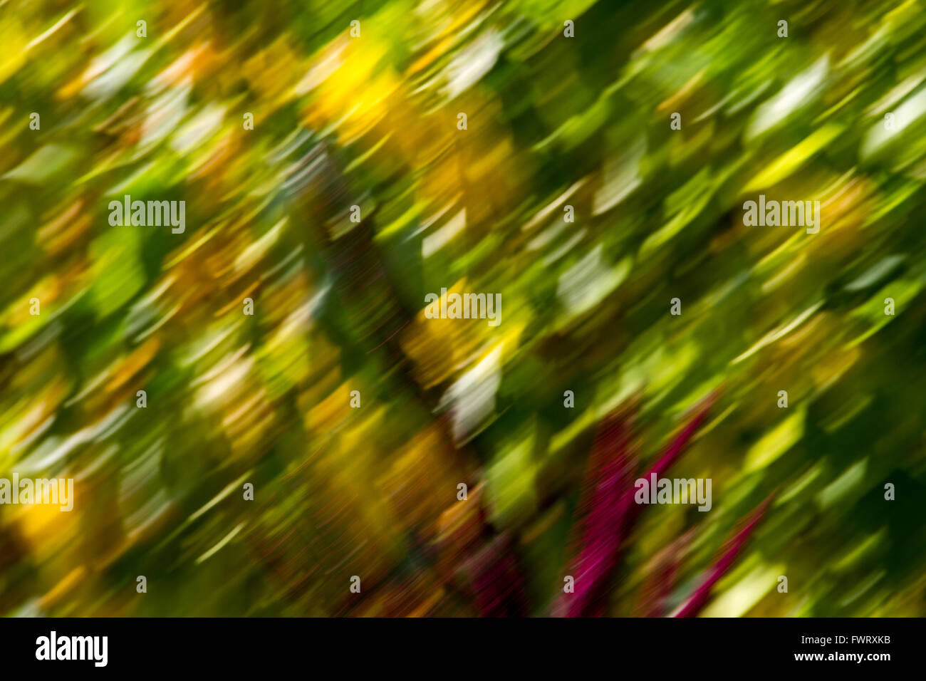 Blur shades hi-res stock photography and images - Alamy