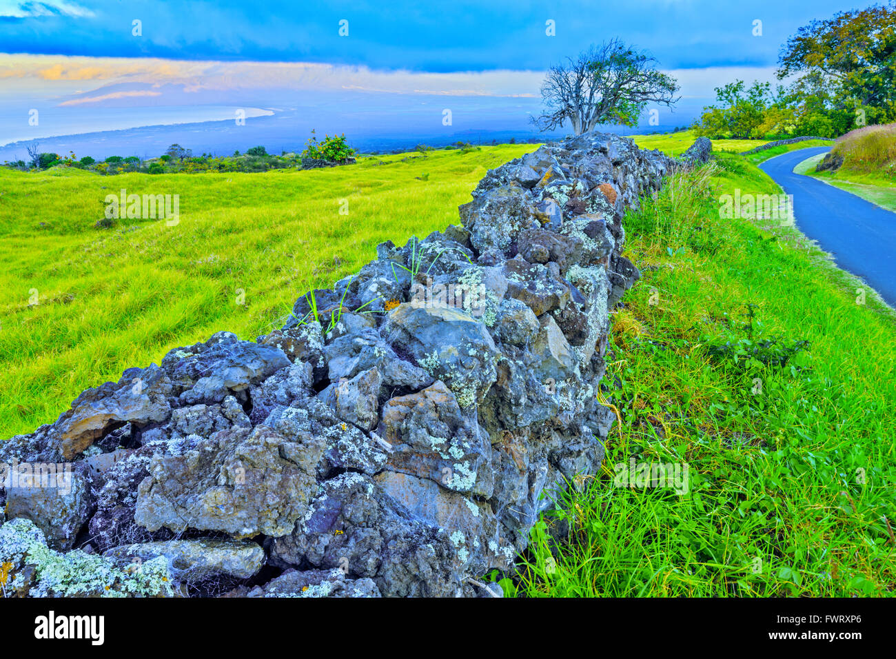 Cattle ranching hawaii hi-res stock photography and images - Alamy