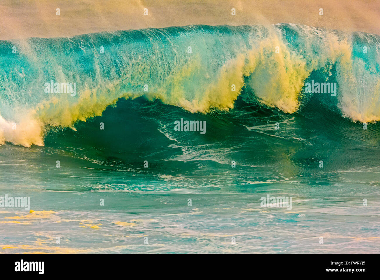 huge curling wave Ho'okipa Beach, Maui Stock Photo - Alamy