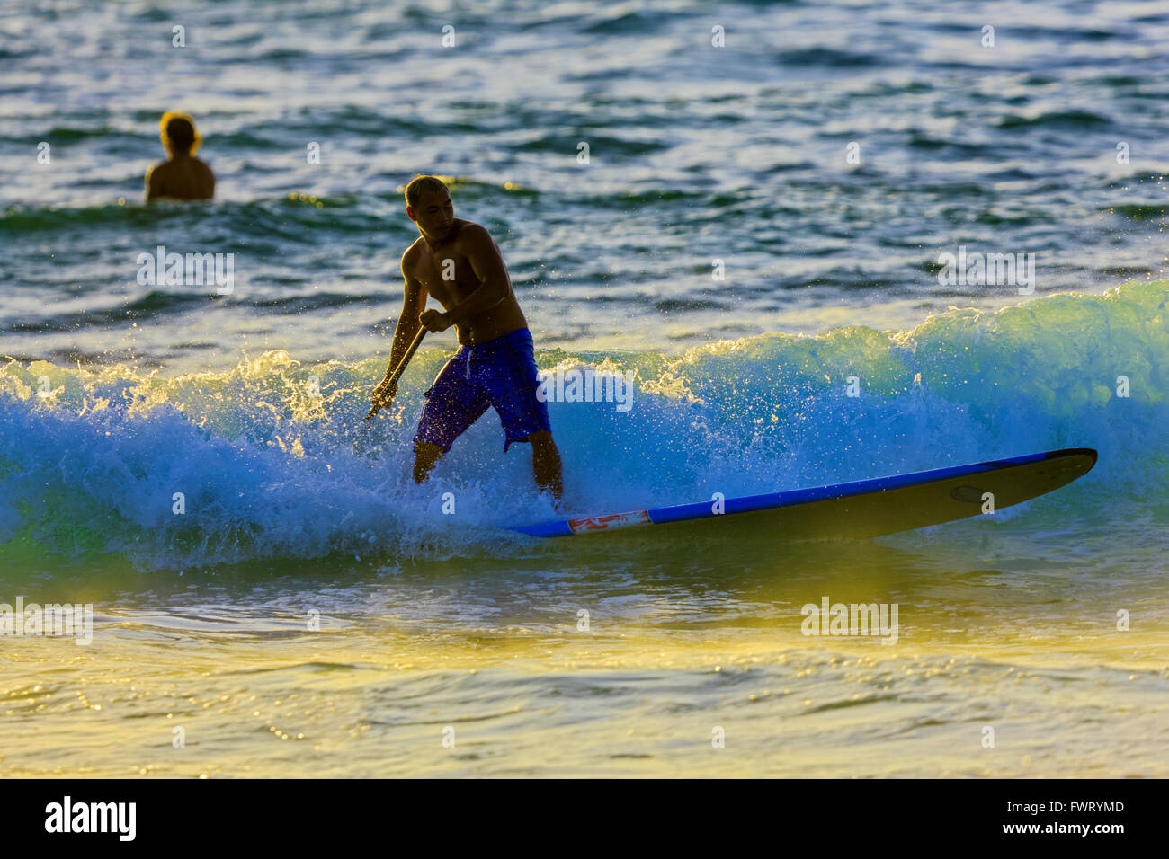 stand up paddle Surfing in Maui Stock Photo - Alamy