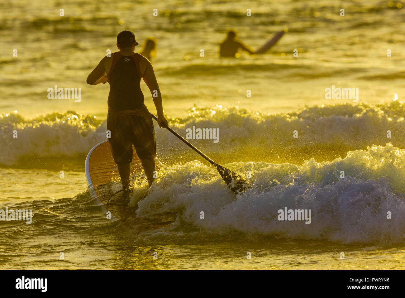 Stand up paddle surfers hi-res stock photography and images - Alamy