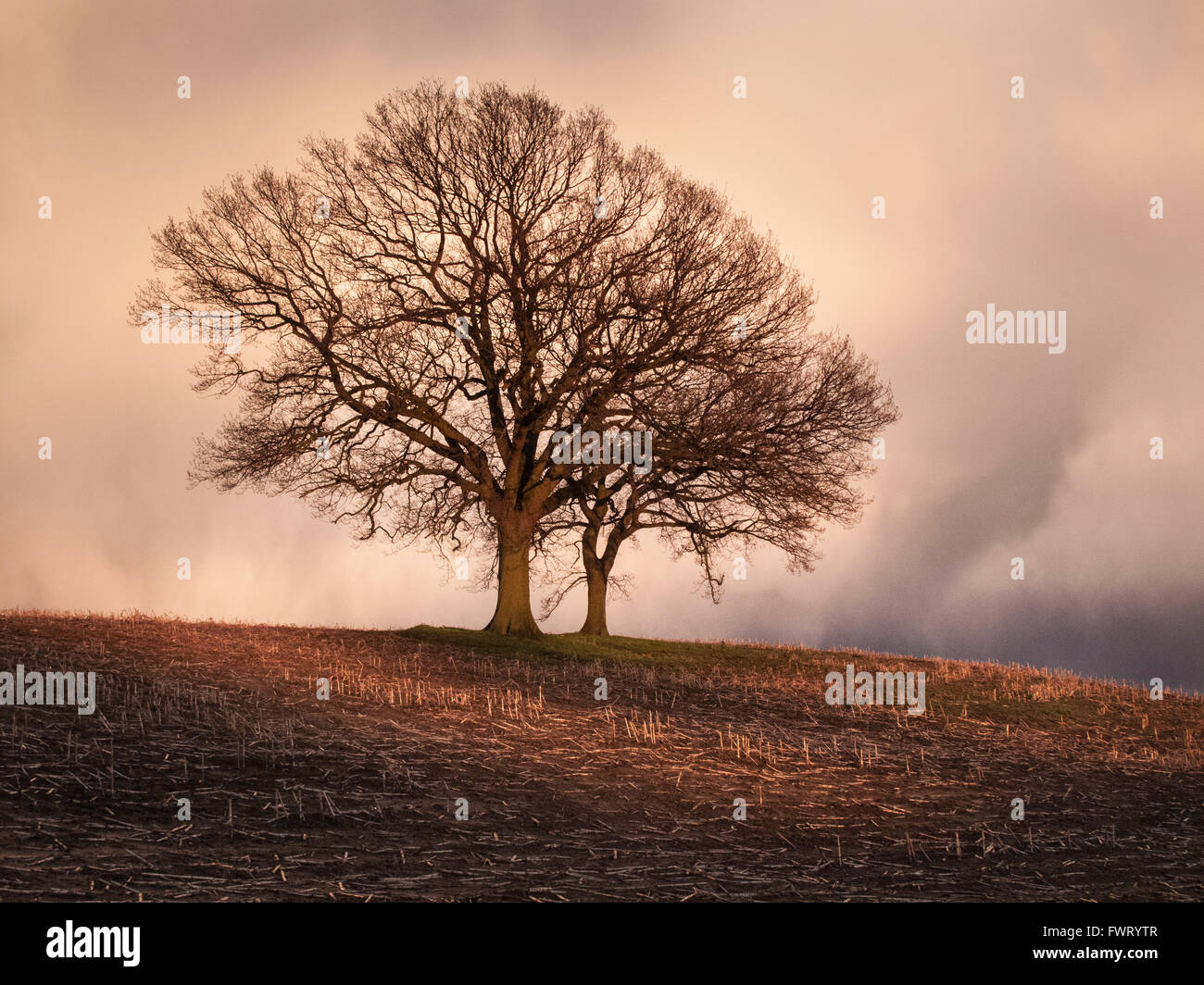 Sunlight and stormy sky hi-res stock photography and images - Alamy