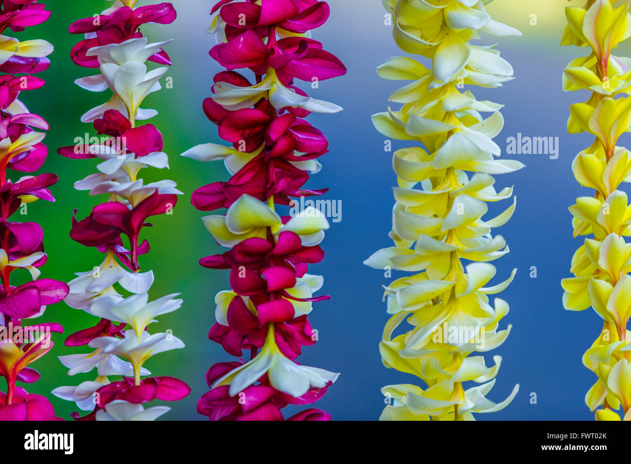Leis for sale, Maui Stock Photo - Alamy