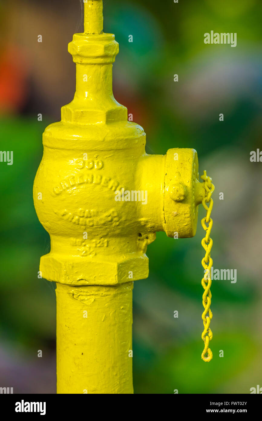 yellow water fire hydrant, Maui Stock Photo - Alamy