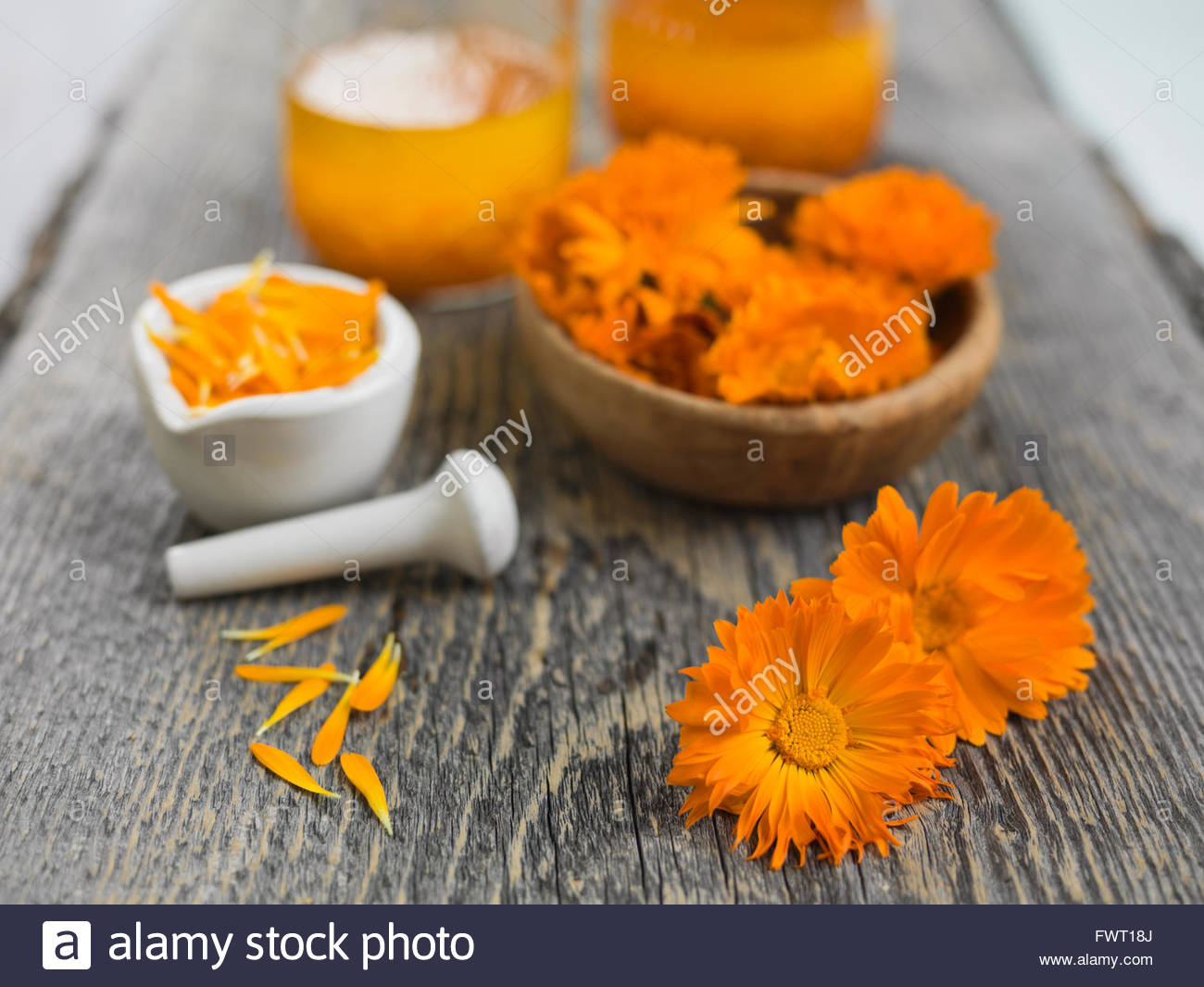 Various stages hi-res stock photography and images - Alamy