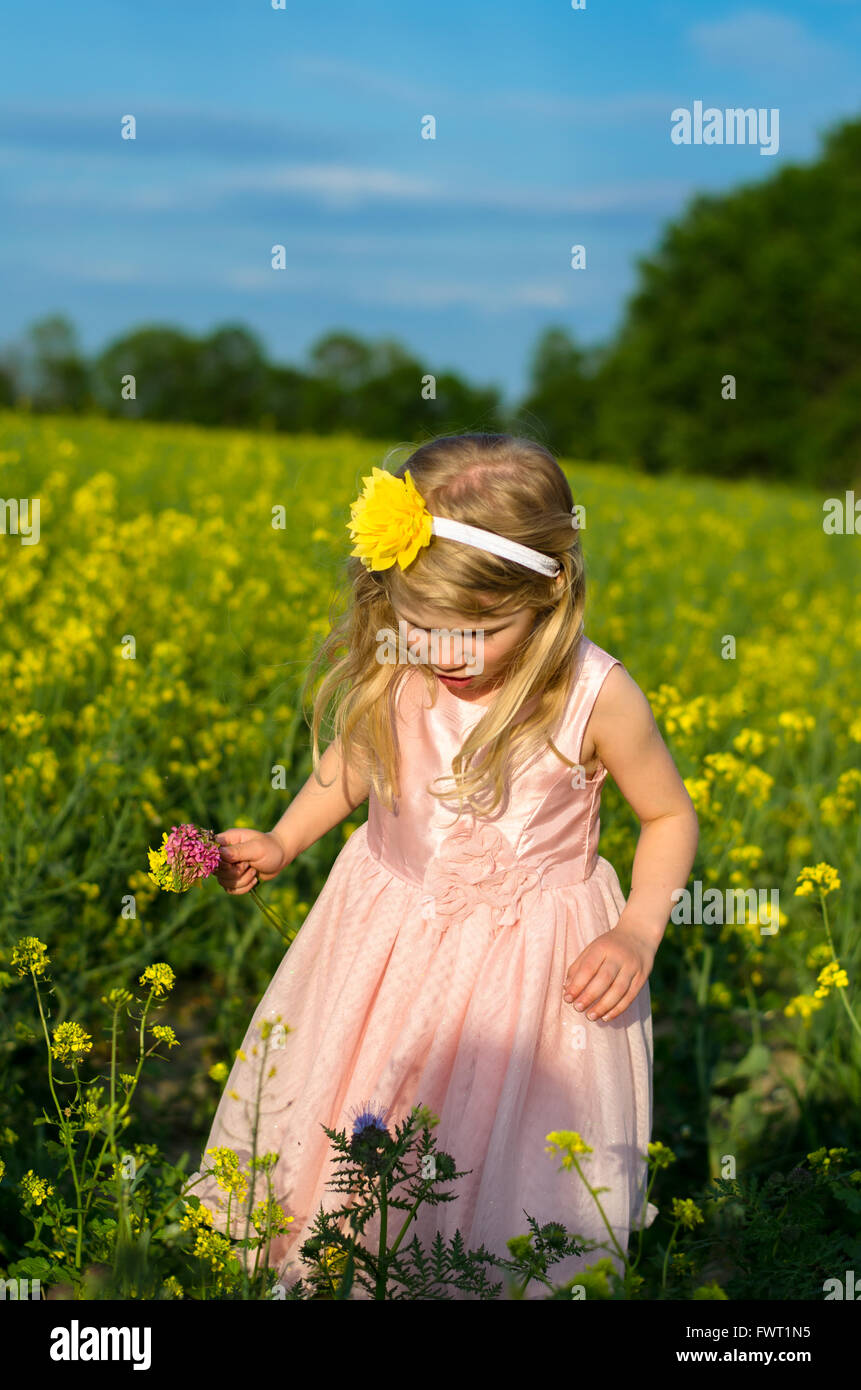 Beautiful little flower hi-res stock photography and images - Alamy