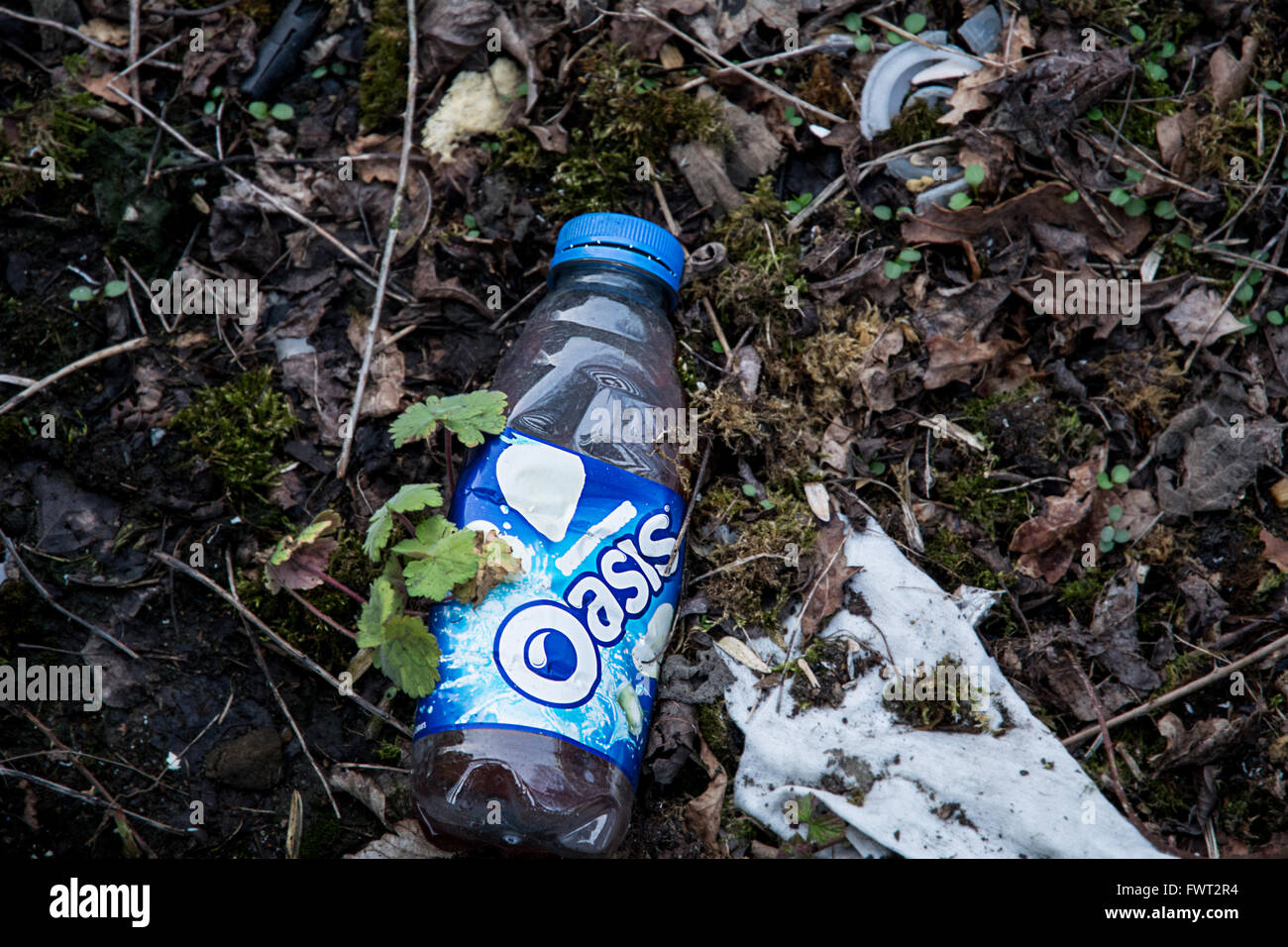 Empty bottle floor hi-res stock photography and images - Alamy