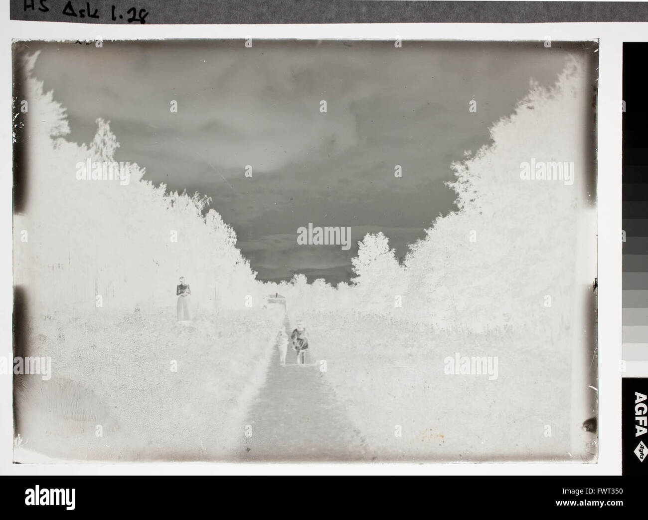 The Photographs of Hugo Simberg Stock Photo - Alamy