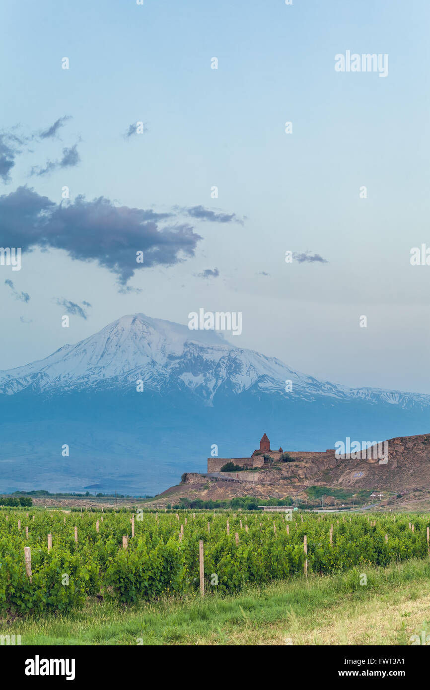 Grape field in Ararat valley. View of Khor Virap and Mount Ararat Stock ...