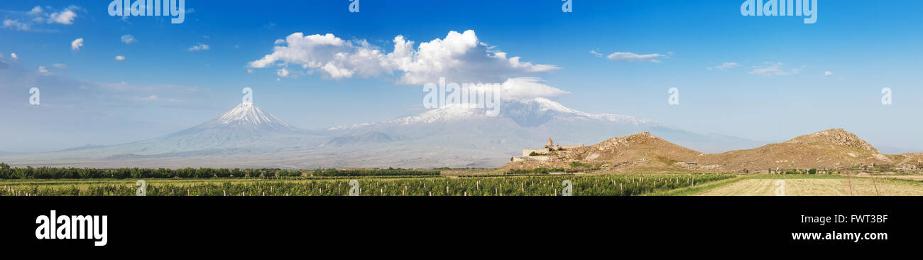Grape field in Ararat valley. View of Khor Virap and Mount Ararat ...