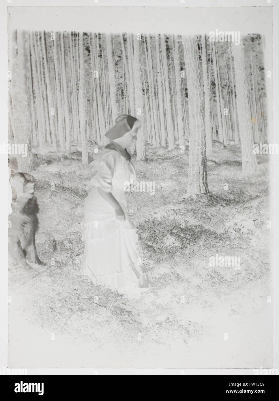 The Photographs of Hugo Simberg Stock Photo - Alamy