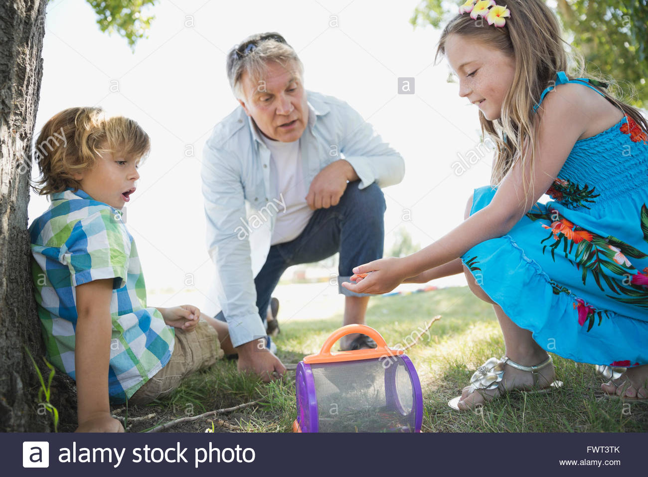 Catching bugs hi-res stock photography and images - Alamy