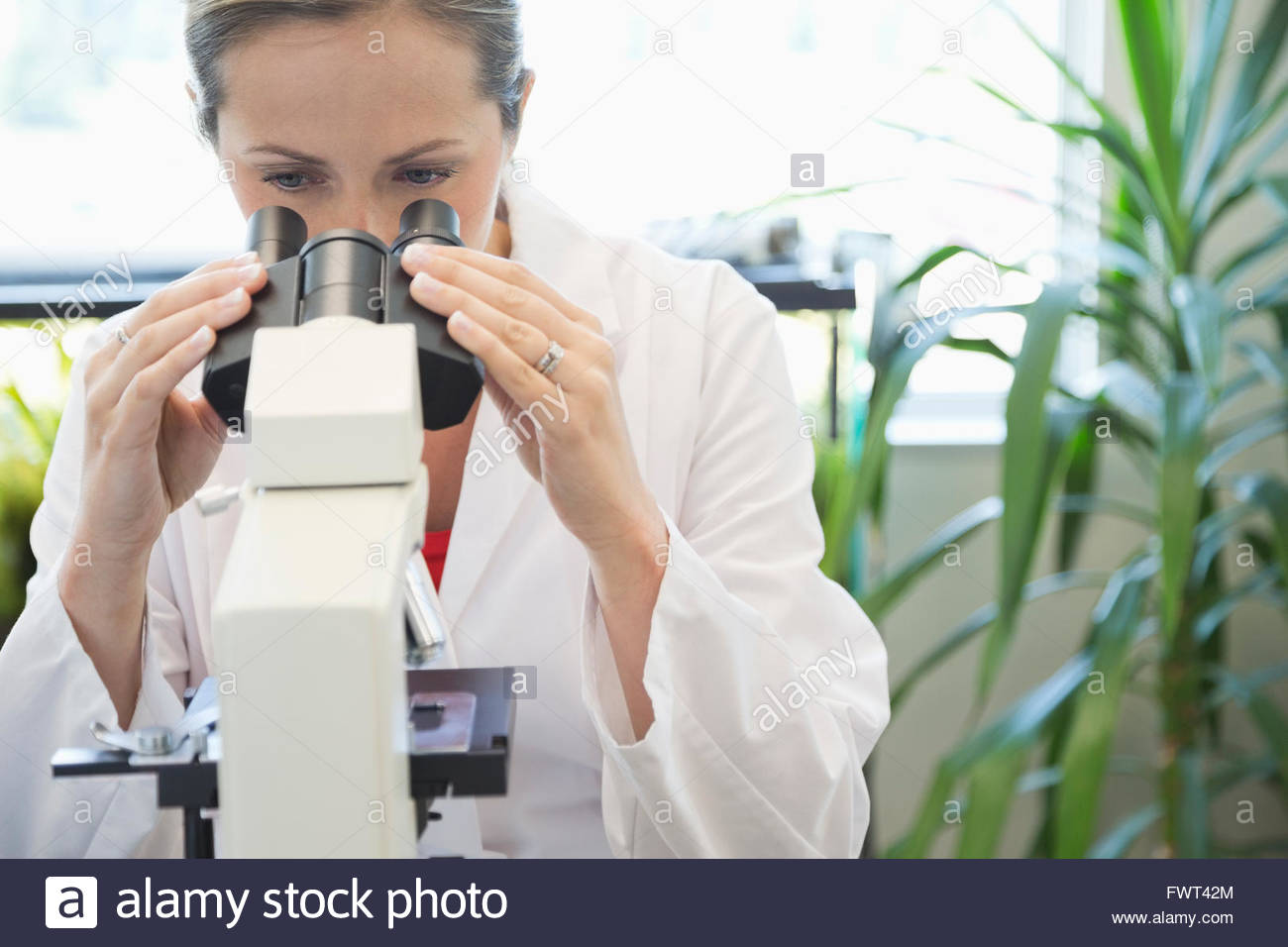 Women looking through microscope hi-res stock photography and images ...