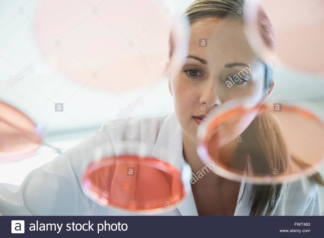 Female solution hi-res stock photography and images - Alamy