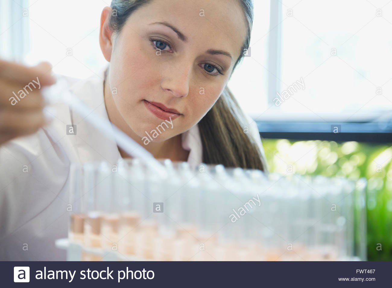 Female technician working in research laboratory hi-res stock ...