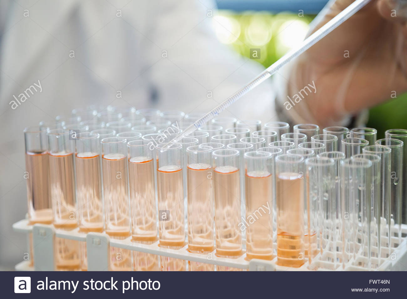 Test tube holder hi-res stock photography and images - Alamy