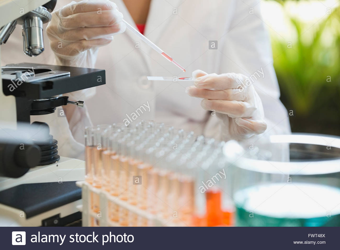 Sample Holder In Laboratory High Resolution Stock Photography and ...
