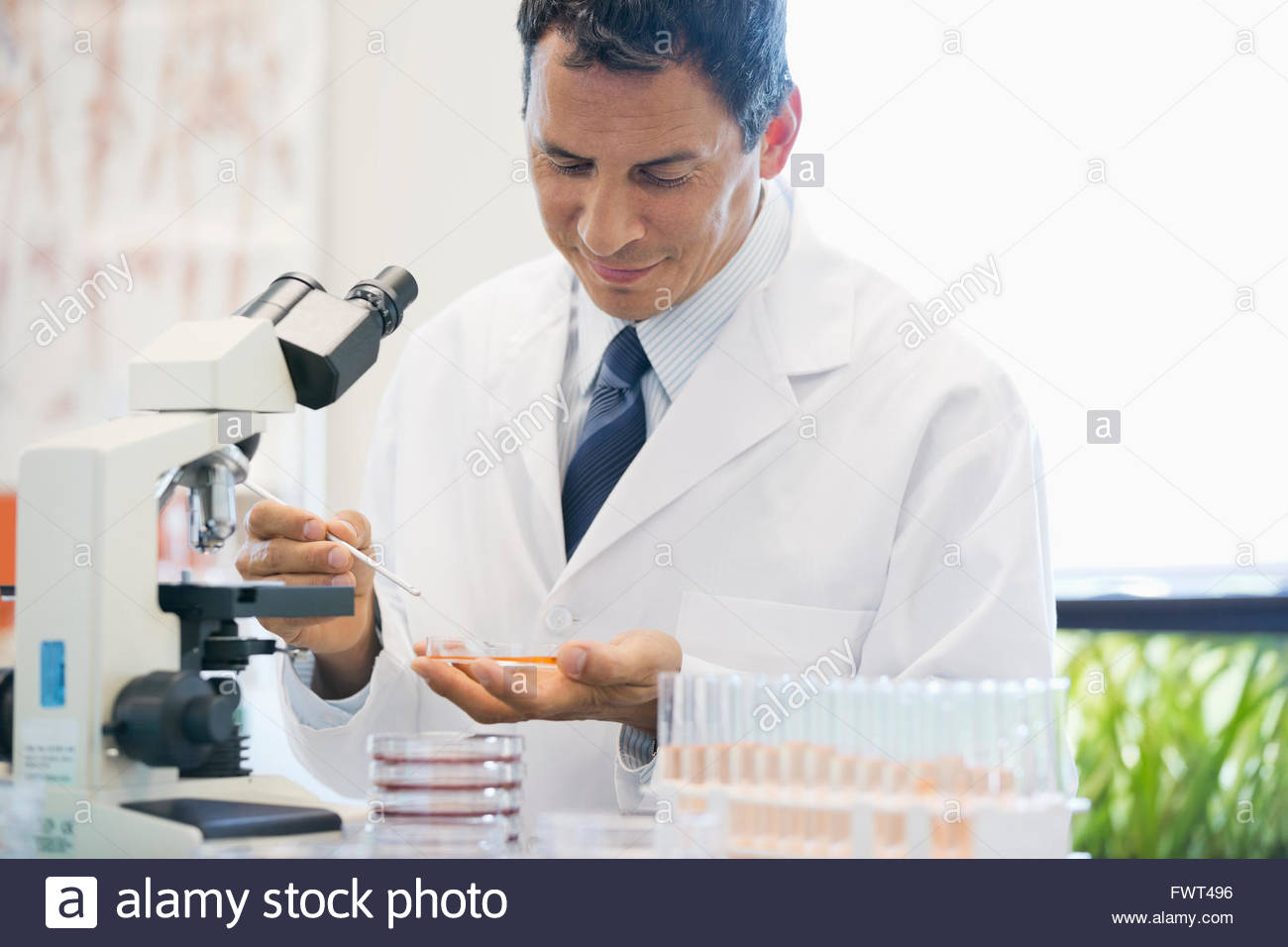 Male lab worker petri hi-res stock photography and images - Alamy