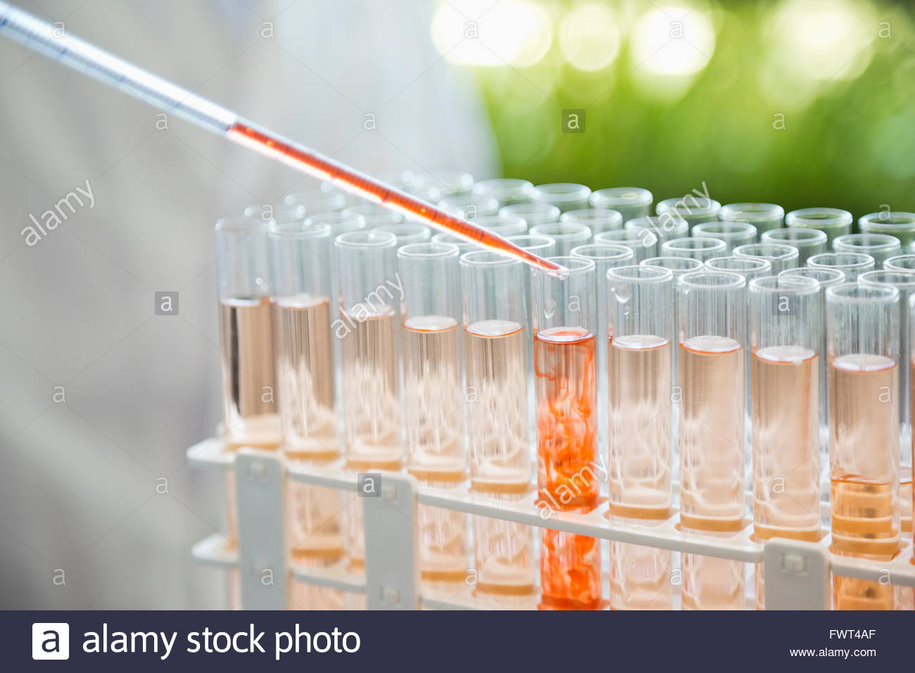 Specimen tubes hi-res stock photography and images - Alamy