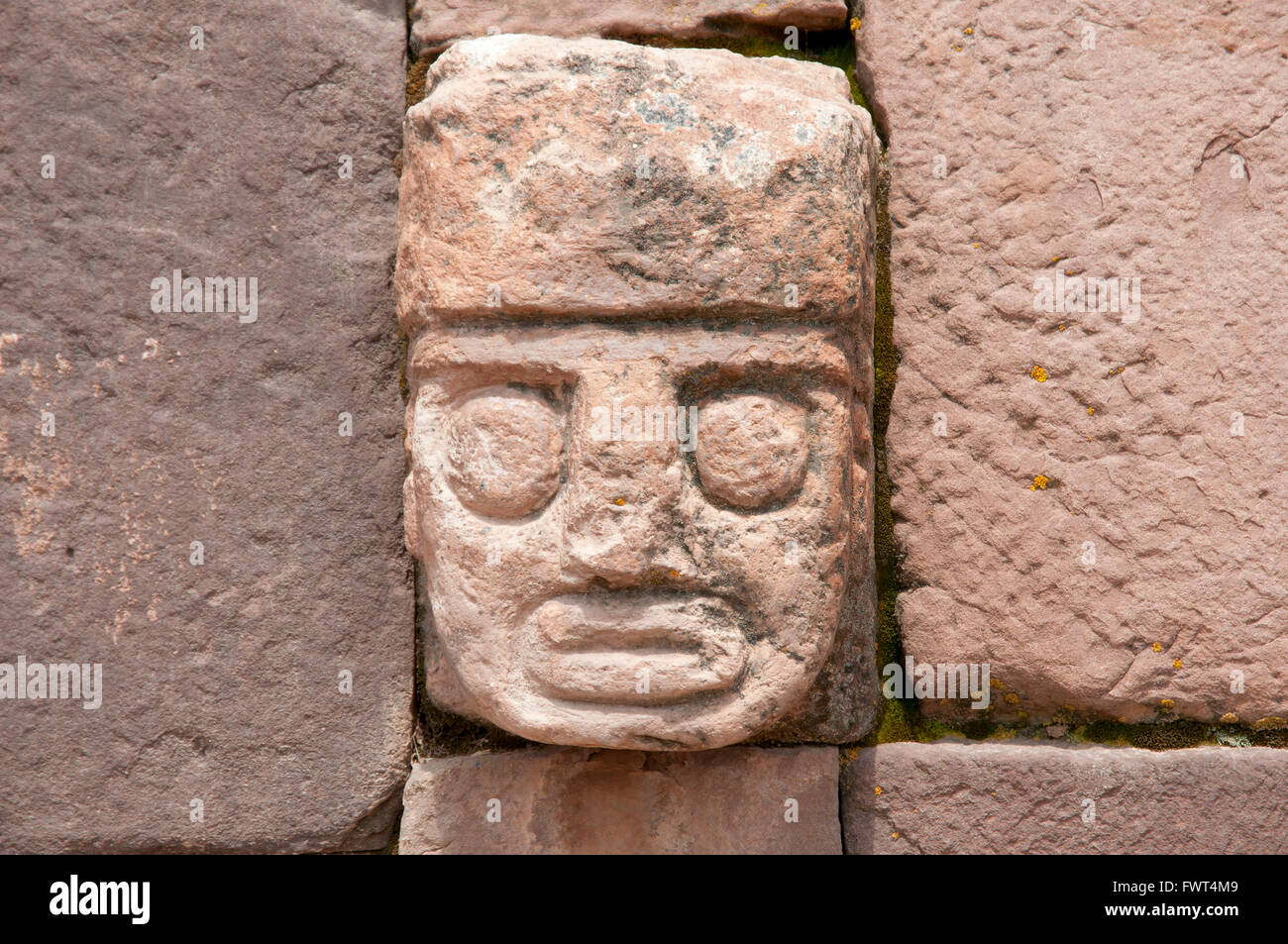 Tenon Heads High Resolution Stock Photography and Images - Alamy