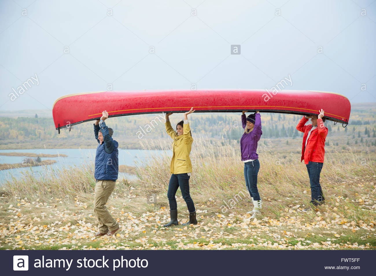 Four friends carrying canoe in field Stock Photo - Alamy