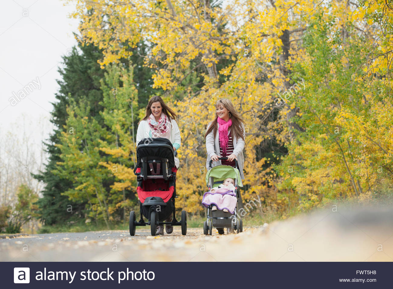 Mothers pushing babies in strollers on pathway Stock Photo - Alamy