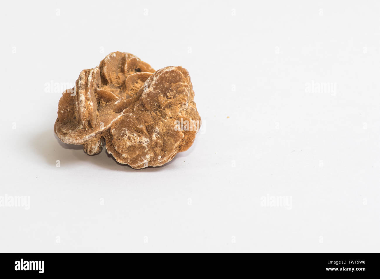 The rose - like formations of the crystal clusters of baryte or gypsum ...