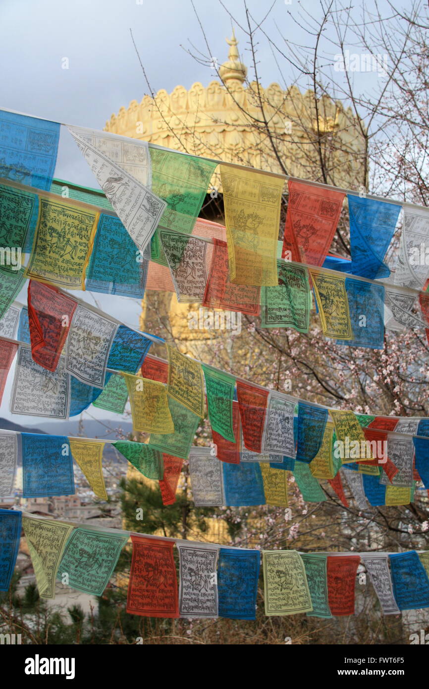 Tibetan Buddhist prayer flags in front of a large golden Buddhist ...