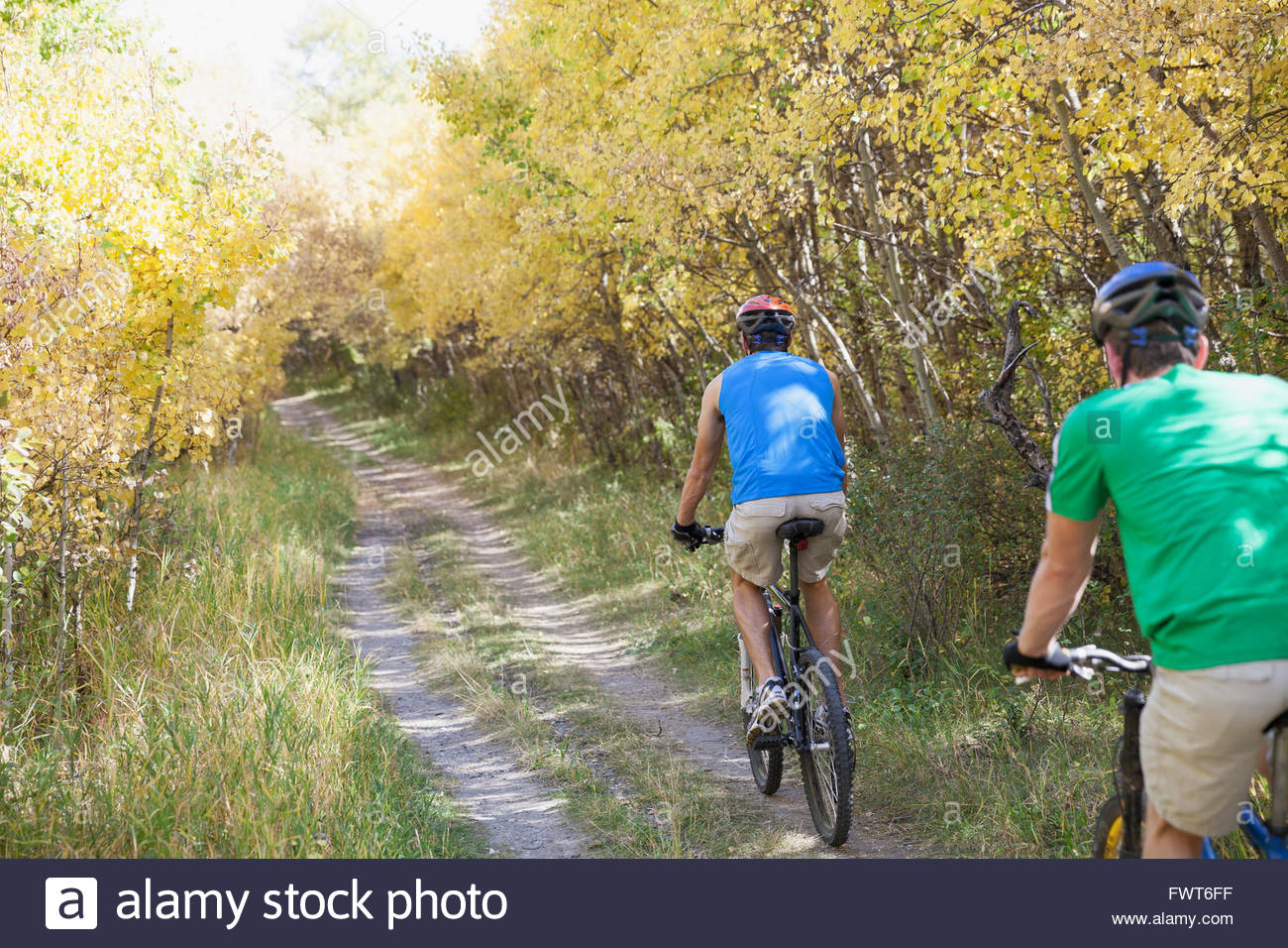 Cyclist from behind hi-res stock photography and images - Alamy