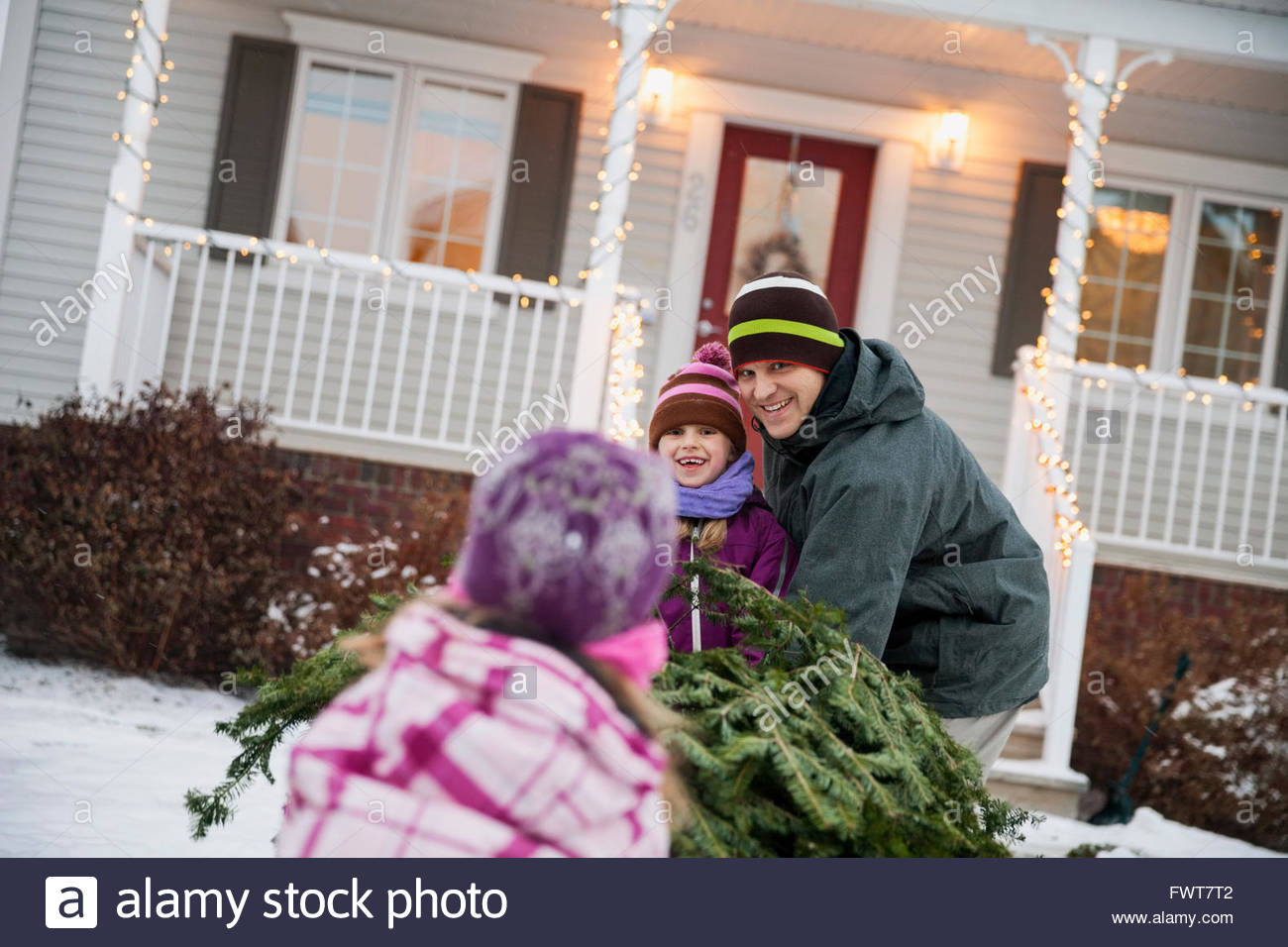 Children and father pulling Christmas tree into house Stock Photo - Alamy