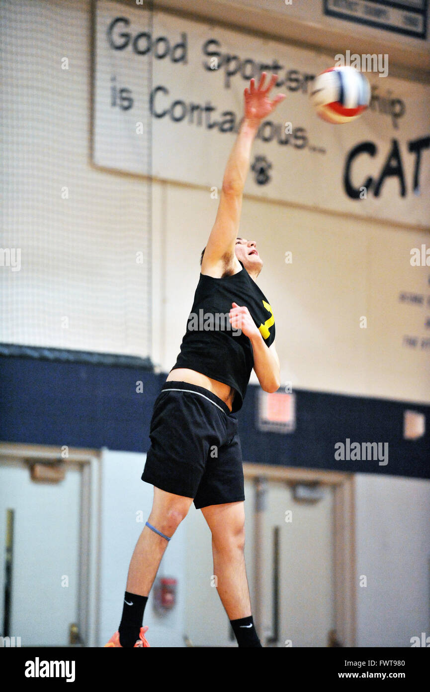 Volleyball player serving hi-res stock photography and images - Alamy