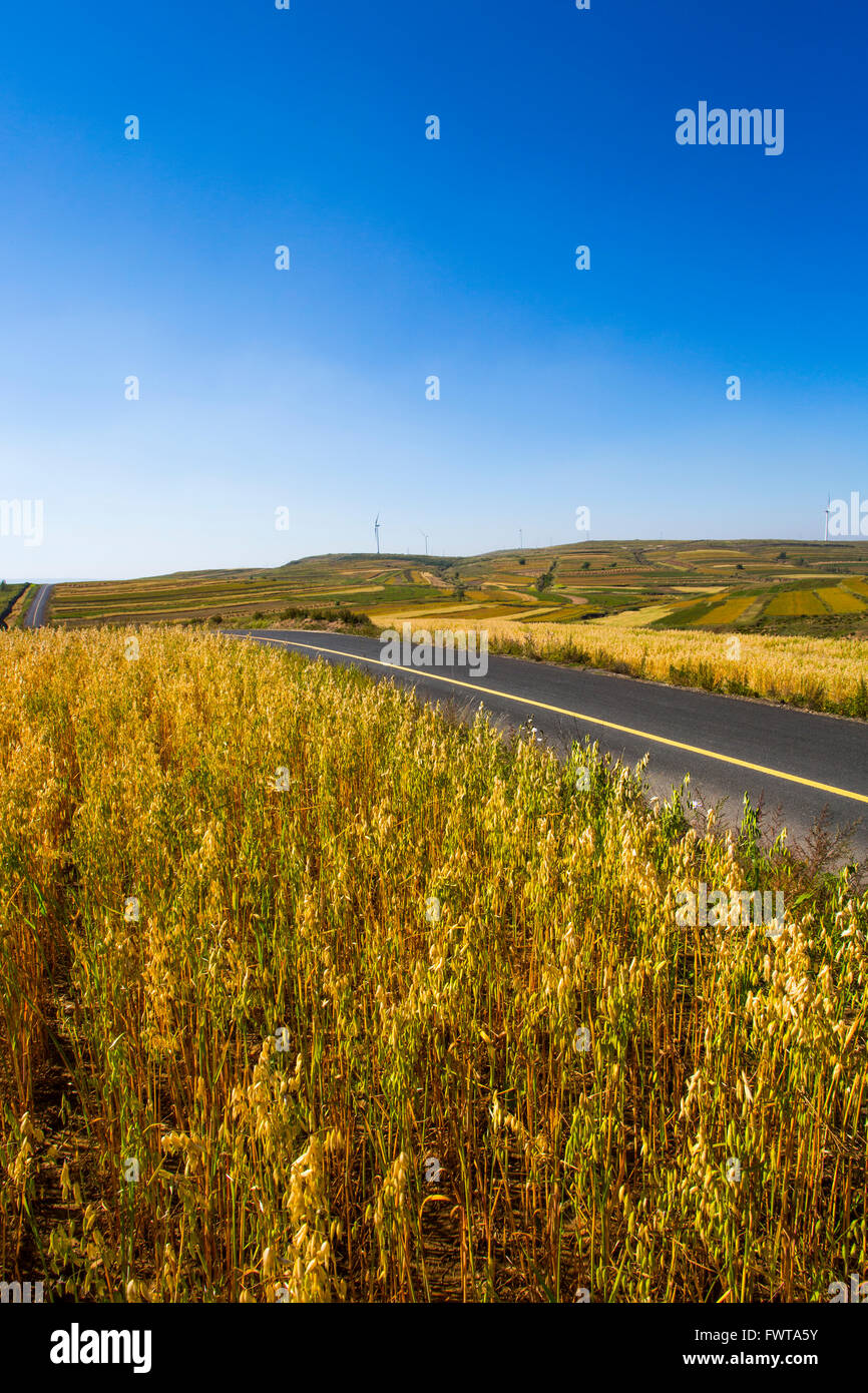 Grassland scenery in Hebei province, China Stock Photo - Alamy