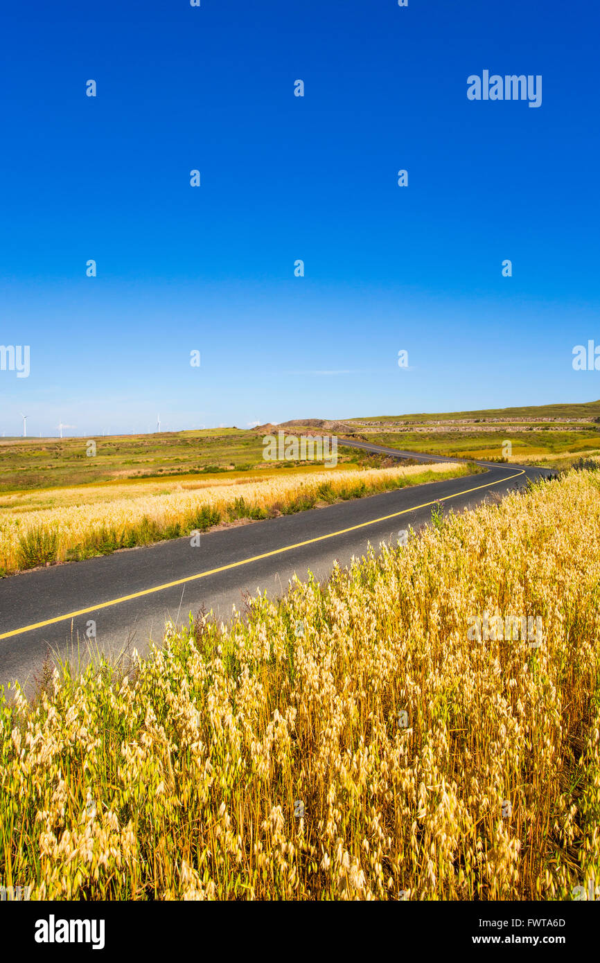 Grassland scenery in Hebei province, China Stock Photo - Alamy
