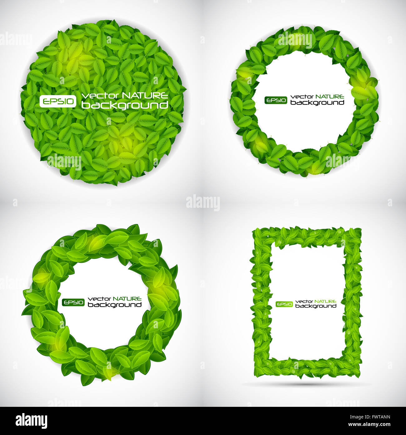 Shiny Natural Leaves Background. Illustration Stock Photo - Alamy