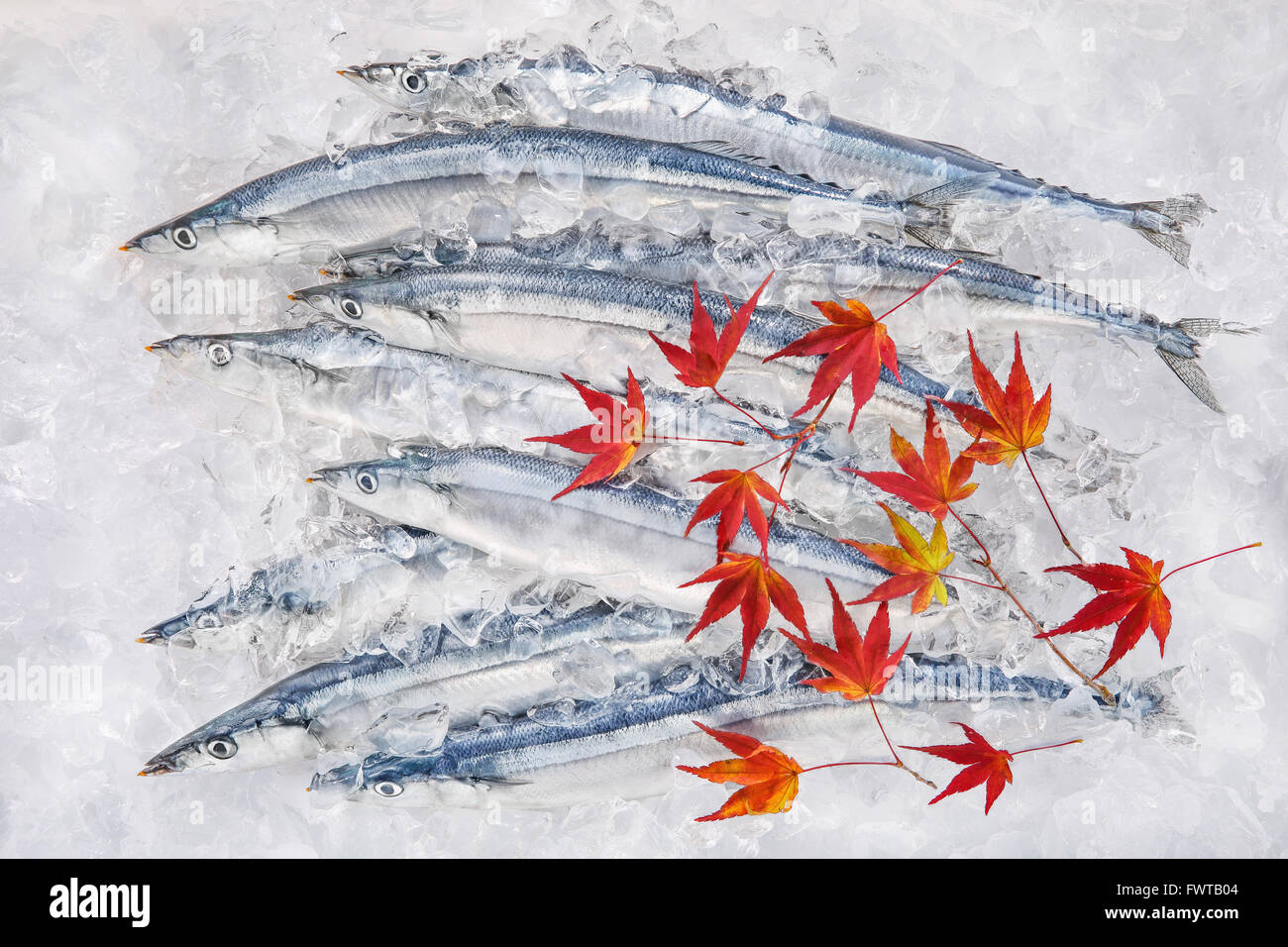 Saury fish japan hi-res stock photography and images - Alamy