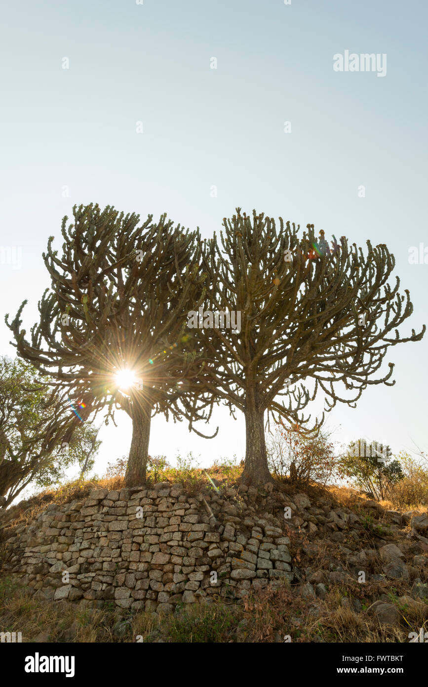 Danan’ombe Monument formerly Dhlo-Dhlo Ruins in Zimbabwe Stock Photo ...