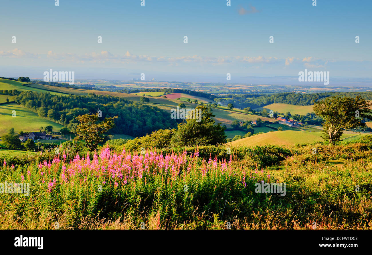 Quantock Hills Somerset England UK countryside views towards Hinkley ...