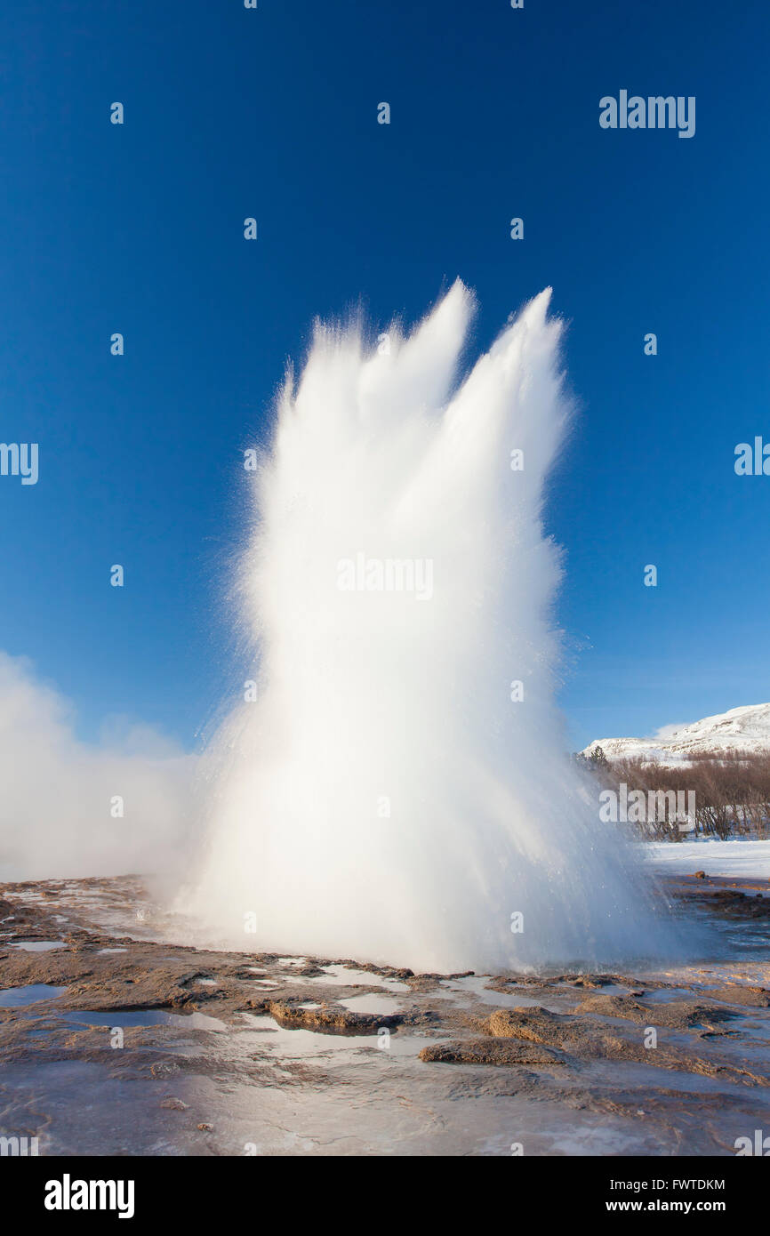 Eruption of Strokkur, fountain geyser in the geothermal area beside the ...