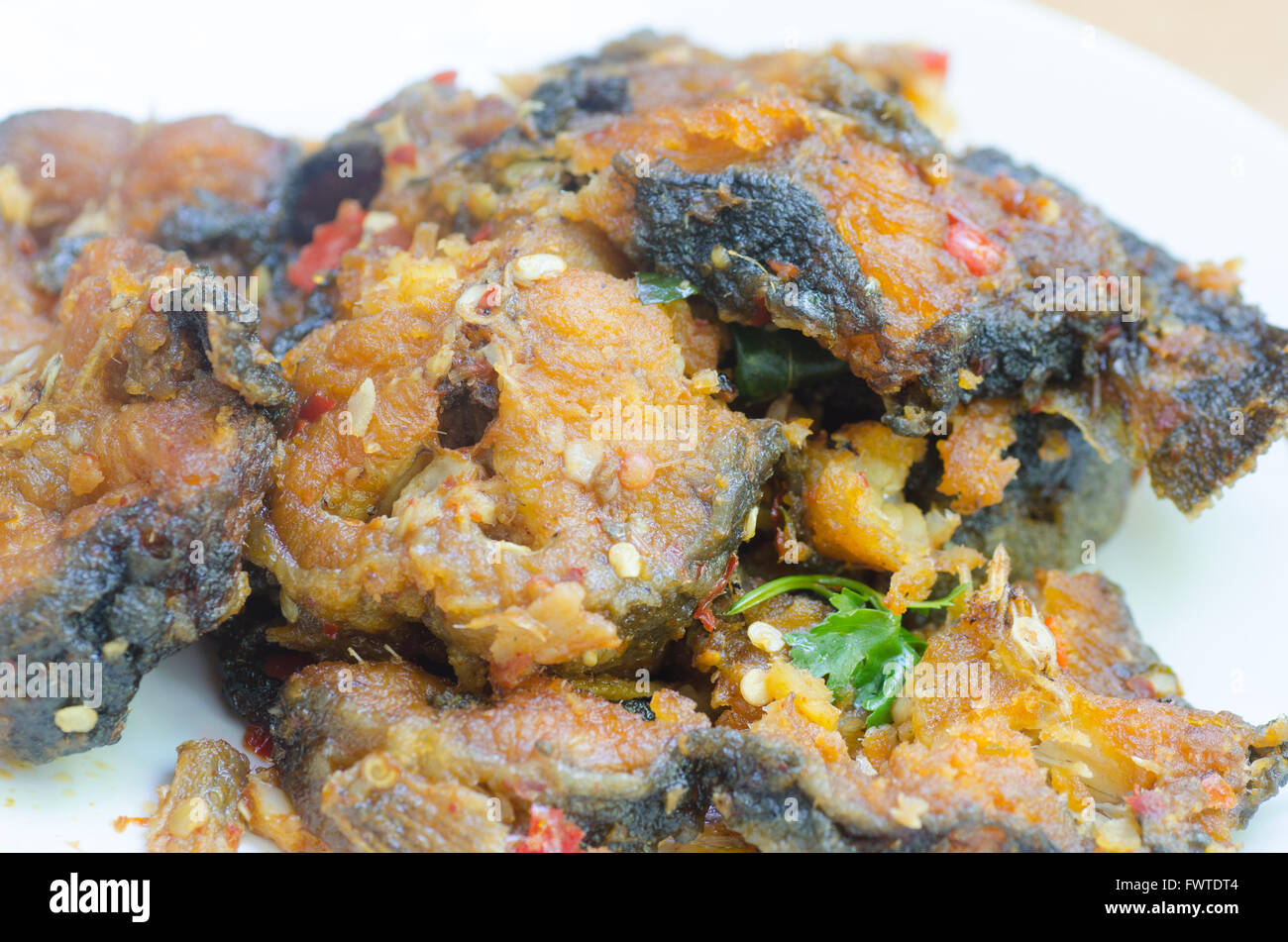 Asian catfish hi-res stock photography and images - Alamy